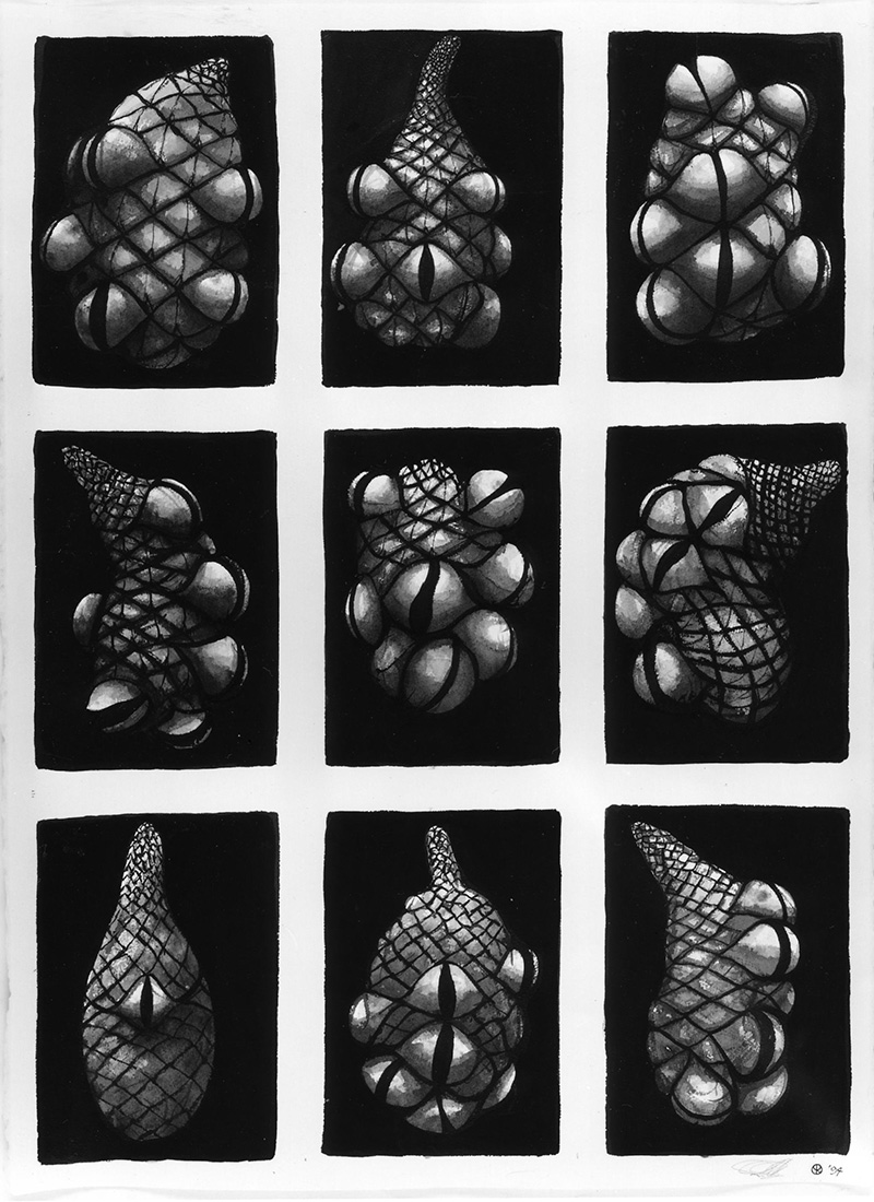In Mind of Botany Series - Peter Randall-Page